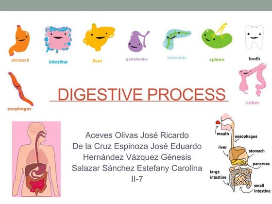 GI system mnemonics | PDF | Digestive Disorders | Diseases and Conditions
