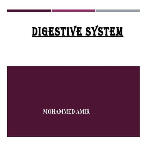 Human digestive system | PPTX