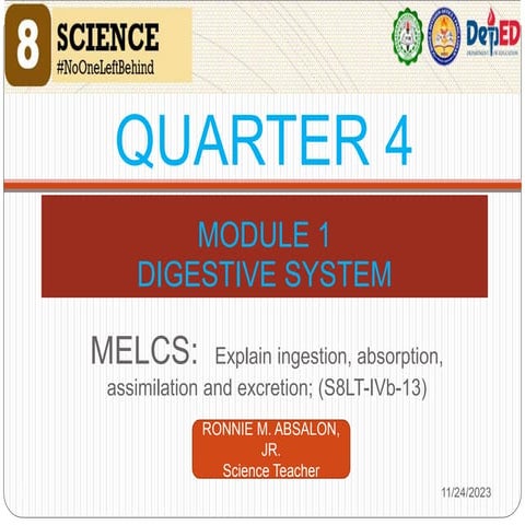 DIGESTIVE-SYSTEM-3.pptx | Biological Sciences | Science
