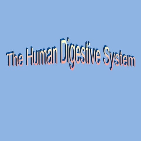 digestive-system-power-point (1).ppt
