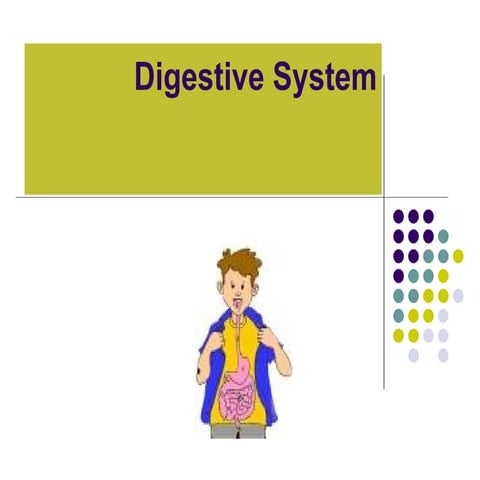 Digestive System | PPT