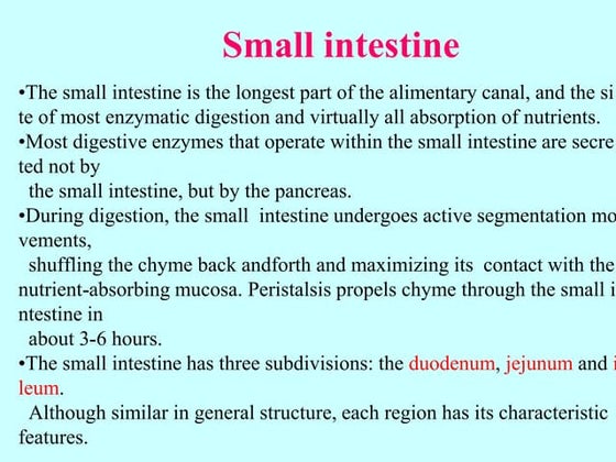 Veterinary anatomy of intestine | PPTX | Dogs | Pets