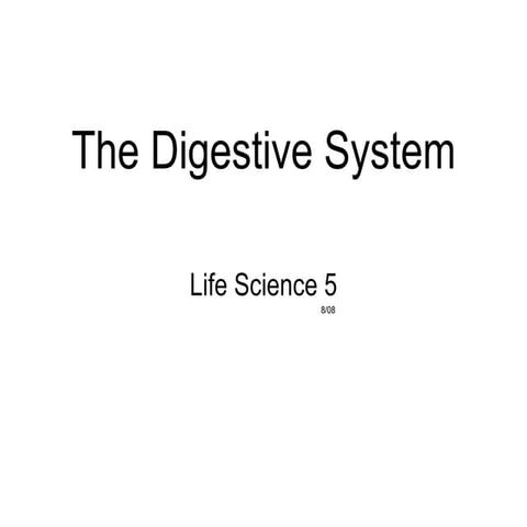 Digestive system Grade 5 igcse easy notes | PPT