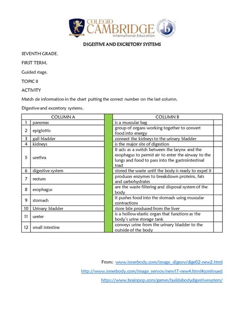 Endocrine system chart diseases | PDF | Hormonal Disorders | Endocrine ...