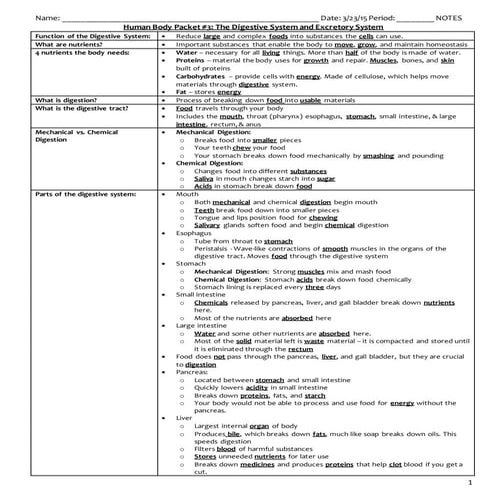 Digestive and excretory_systems_notes_key | DOCX