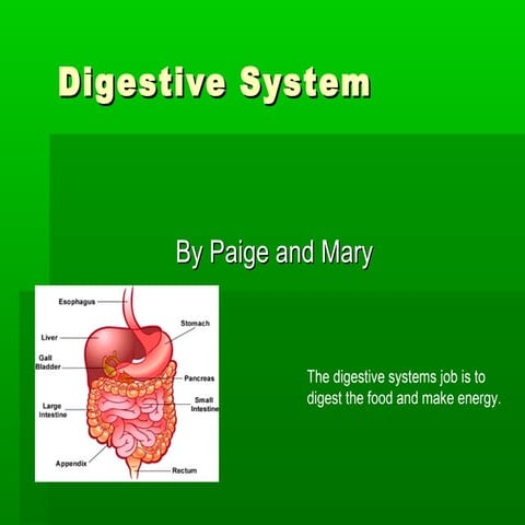 Digestive and nervous systems | PPT