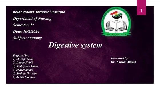 Digestive system year 3 | PPTX | Medical Health