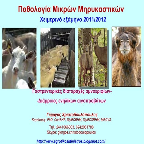 Γαστρεντερικές διαταραχές αμνοεριφίων-Διάρροιες ενηλίκων αιγοπροβάτων | PPT