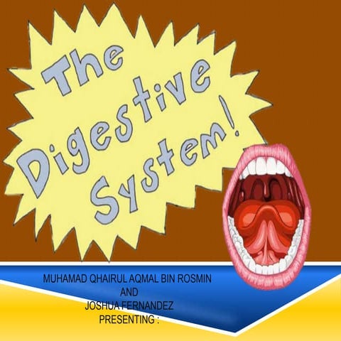 Digestive system disease | PPT