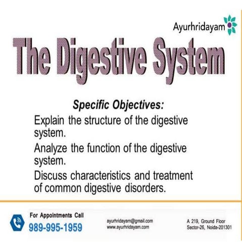 Digestive Disorder Treatment | PPT