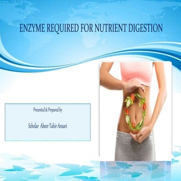Digestive enzymes | PPTX