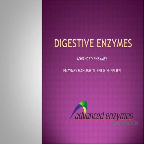 Digestive Enzymes and Their Functions | PPTX