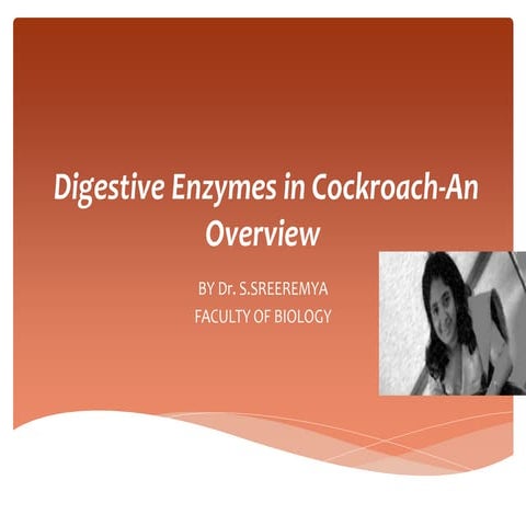 Digestive system in insects | PPTX