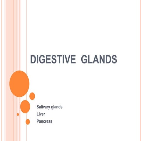 Digestive glands | PPTX
