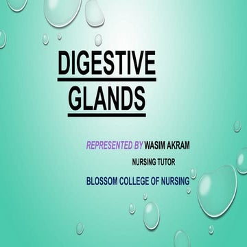 DIGESTIVE GLANDS//Associative Glands of GIT// LIVER | PPTX