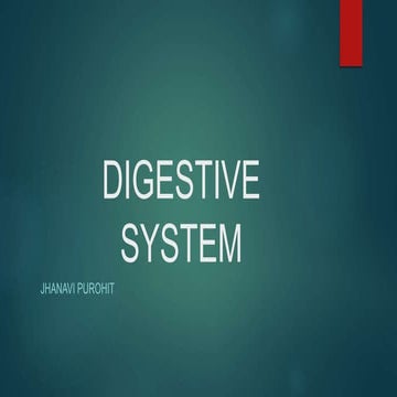 Grade 7 chapter1 lesson1 - the digestive system | PPTX
