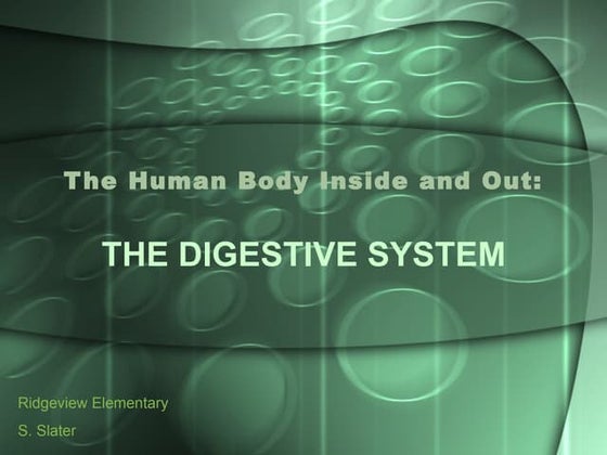 The Digestive System | PPT