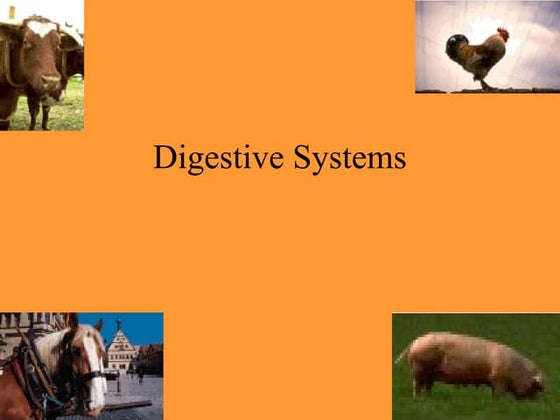 digestive system of ruminants.pptx