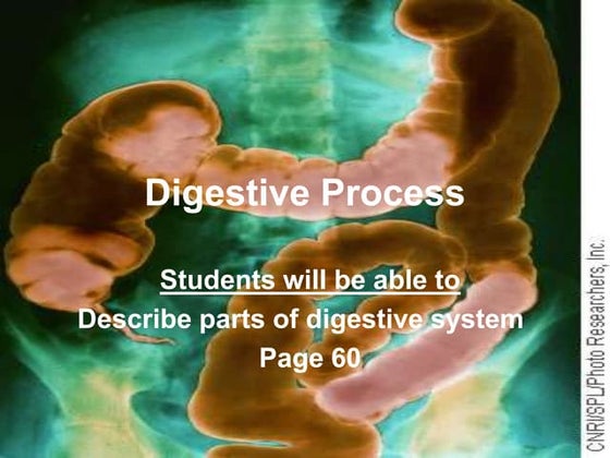 Parts of digestive system | PPTX