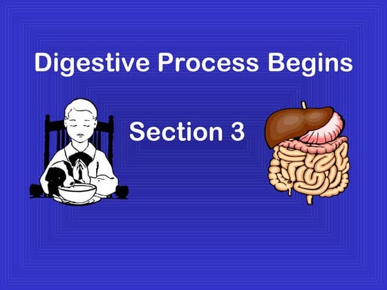 Digestive system | PPT