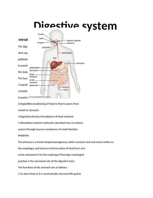 Grade 8 - Digestive System | PPT | Digestive Disorders | Diseases and ...
