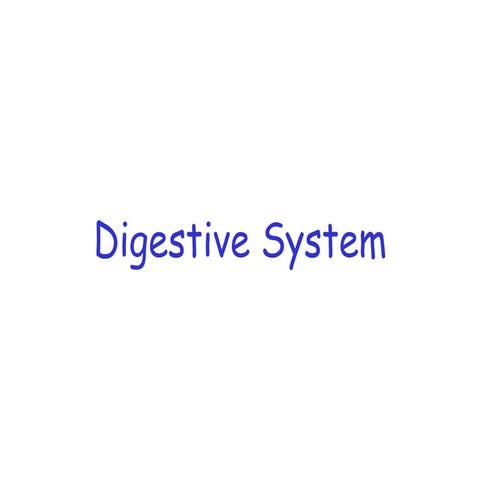 Digestive system power point | PPTX