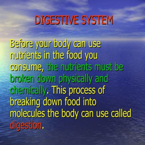 Digestive System | PPT