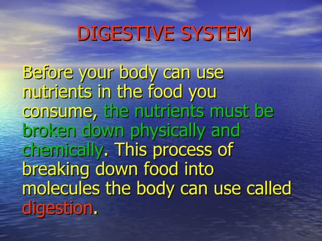 Human digestive system | PPTX