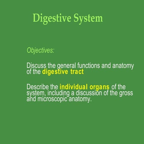 Digestive System | PPT | Dental Health | Diseases and Conditions