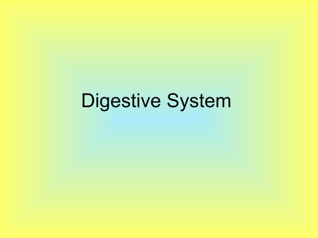 Digestive system Lesson for Grade 6 students.pdf