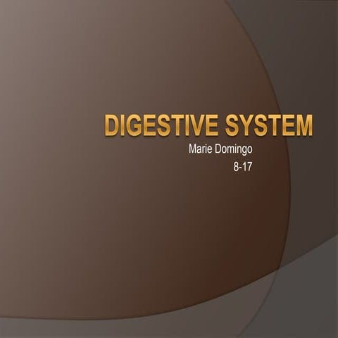 Digestive System | PPT