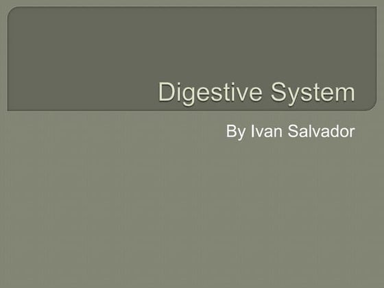 The digestive system | PPT
