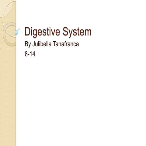 Digestive system | PPT