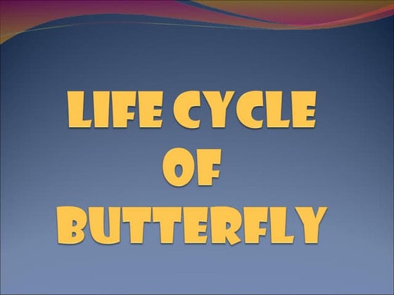 Life cycle of a butterfly | PPTX | Biological Sciences | Science
