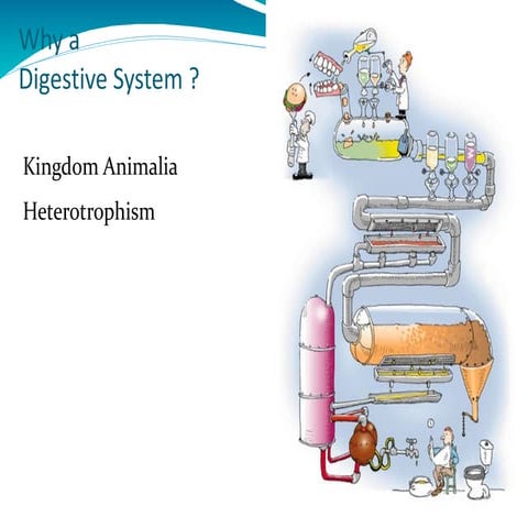 DIGESTIVE SYSTEM_CLASS 10th.pptx