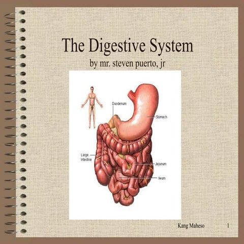 Digestivesystem | PPT