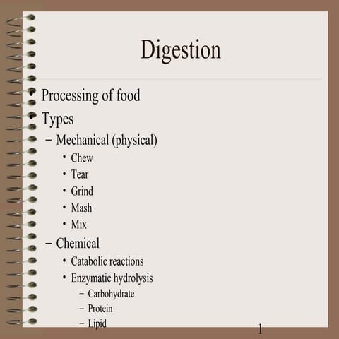 Digestivesystem | PPT