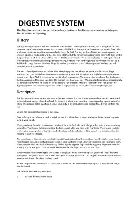 Station 24 digestive system | PDF