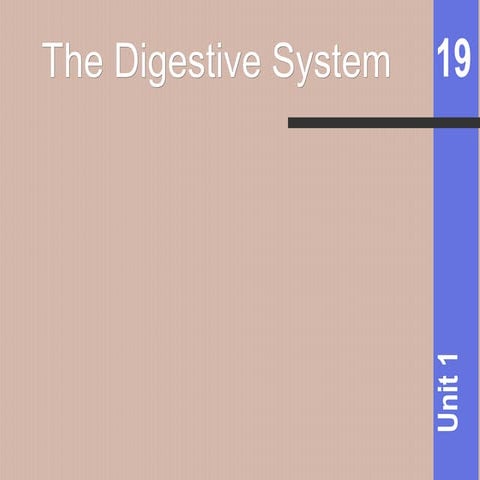 Digestive system | PPT