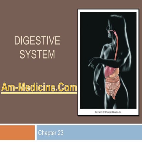 Anatomy & Physiology Lecture Notes - Digestive system | PPT