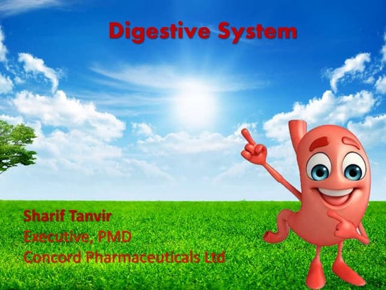 The digestive system | PPT