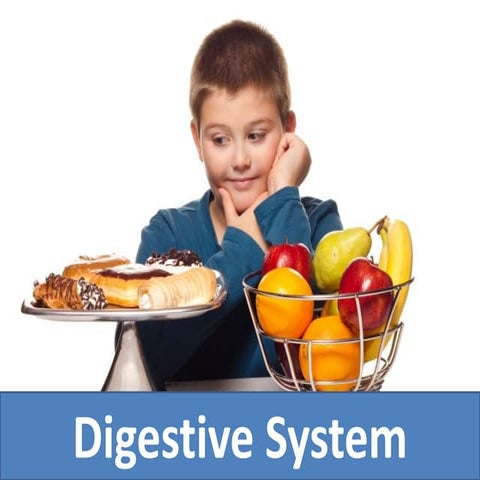 Grade 7 chapter1 lesson1 - the digestive system | PPTX
