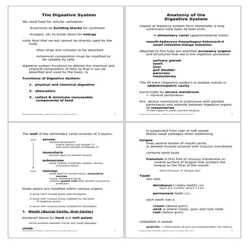 Learn the Ins and Outs of the Digestive System | PDF