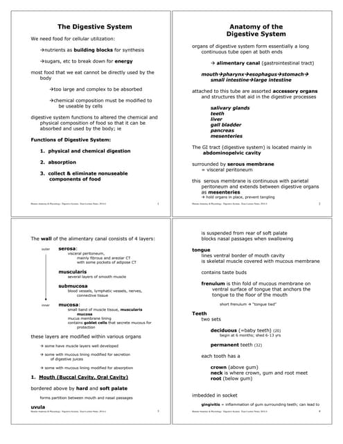 Grade 8 - Digestive System | PPT