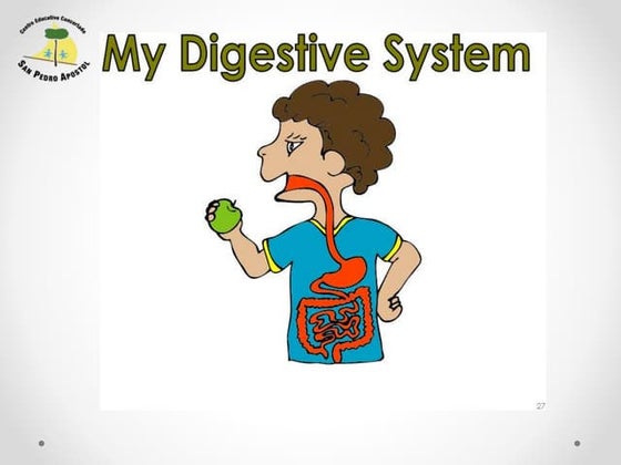 What happens when you eat an apple? Learn about digestive system. A ...