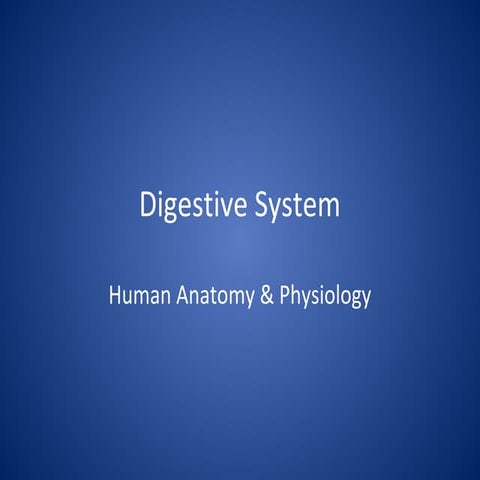 Digestive system Anatomy and physiology | PPT