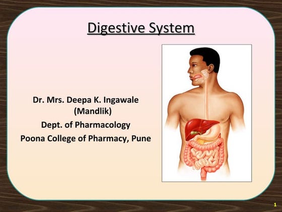 Digestive system powerpoint | PPTX | Food & Drink