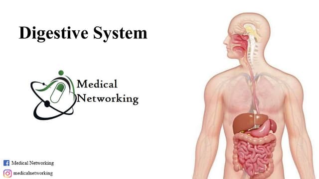 ACCESSORY ORGANS OF DIGESTIVE SYSTEM | PPTX