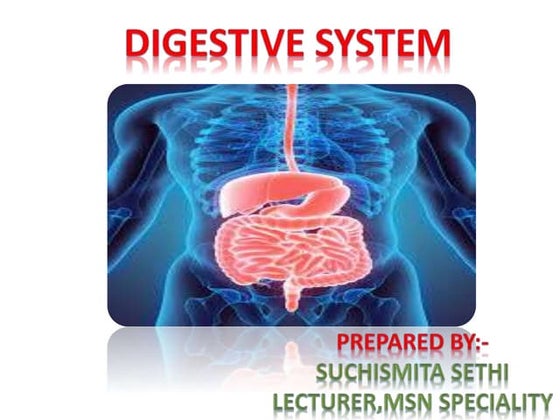 ACCESSORY ORGANS OF DIGESTIVE SYSTEM | PPTX