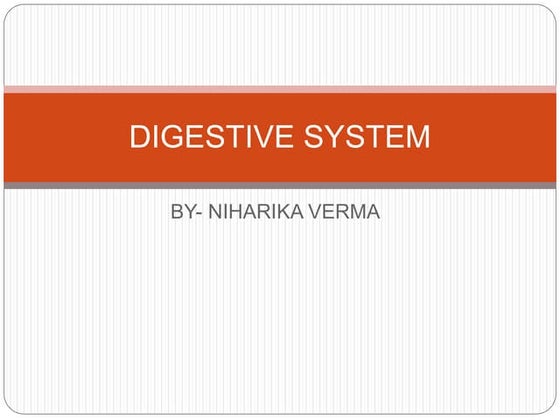 Digestive system Lesson for Grade 6 students.pdf | Digestive Disorders ...